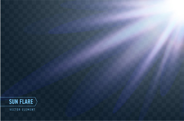 Starburst Transparent Flickering Vector Images (65)