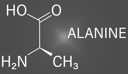 Alanine Amino Acid Vector Images (over 150)