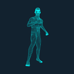 3d wireframe human body Royalty Free Vector Image