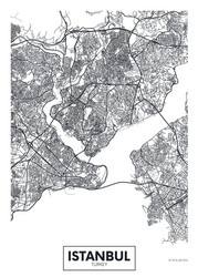 City map istanbul color detailed plan Royalty Free Vector