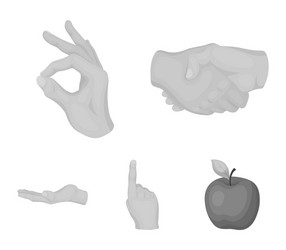 Handshake okay index up palm hand gesturesv Vector Image