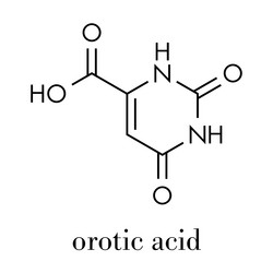 Orotic acid molecule skeletal formula Royalty Free Vector