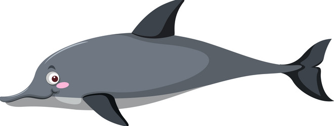 Grey dolphin in cartoon style Royalty Free Vector Image