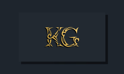 Decorative vintage initial letters kg monogram Vector Image