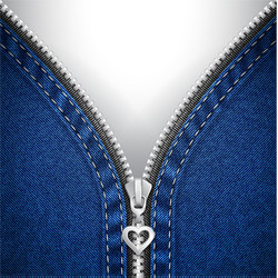 Metal zipper on denim background Royalty Free Vector Image