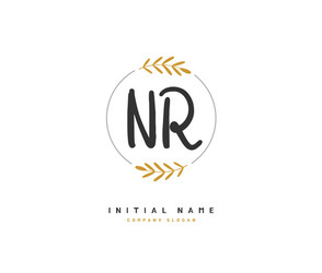N r nr beauty initial logo handwriting logo Vector Image
