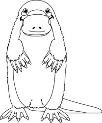 Monotremes Vector Images (72)