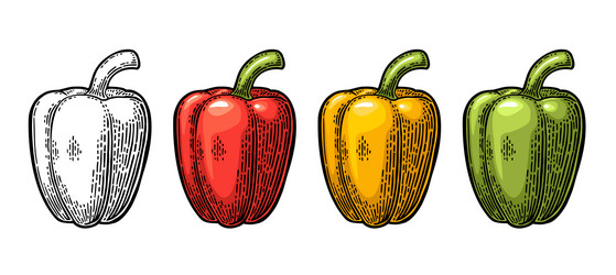 Whole red green yellow sweet bell peppers Vector Image Whole red green yellow sweet bell peppers Vector Image