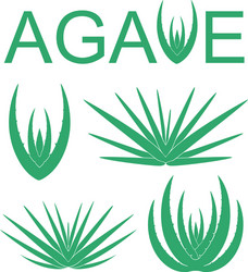 Agave Plant Vector Images (over 4,300)
