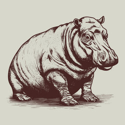 Hippopotamus drawing isolated hand drawn engraved Vector Image