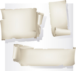 Chef scroll menu Royalty Free Vector Image - VectorStock