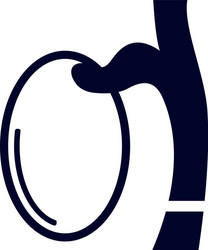 Male Reproductive Testes Diagram Vector Images (97)