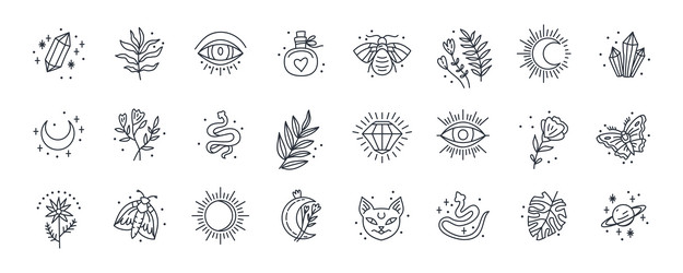 Witch magic design elements set witchcraft Vector Image