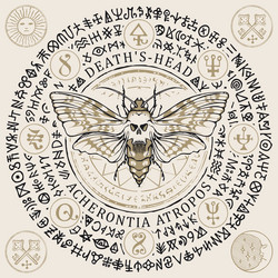 Banner with hand-drawn moth and magical symbols Vector Image