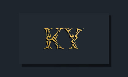 Initial letters ky monogram logo design bundle Vector Image