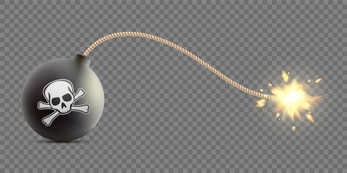 Black sphere bomb burning fuse Royalty Free Vector Image