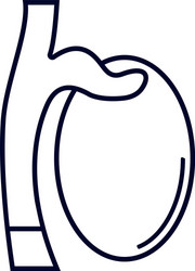 Male Testicles Vector Images (over 1,900)