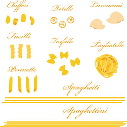 Realistic pasta italian spaghetti shells Vector Image