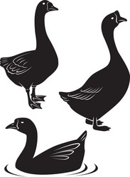 Goose Vector Images (over 21,000)