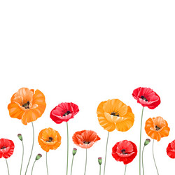 Set of 9 poppy flower Royalty Free Vector Image