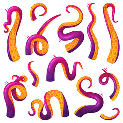 Octopus tentacle as limb of ocean creature Vector Image