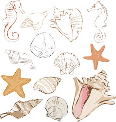 Seashells Vector Images (over 33,000)
