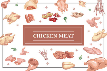 Chicken meat parts with names cuisine poster Vector Image
