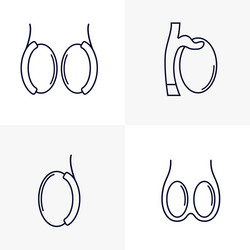 Male Reproductive Testes Diagram Vector Images (over 100)