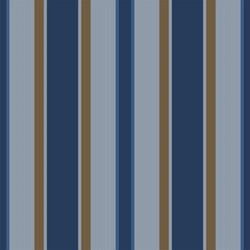 Vertical lines stripe pattern in blue stripes Vector Image