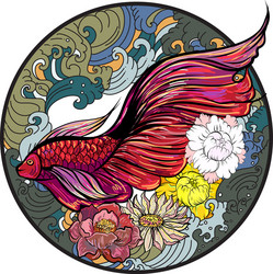 Colorful siamese fighting fish or betta swimm Vector Image