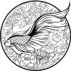 Colorful siamese fighting fish or betta swimm Vector Image