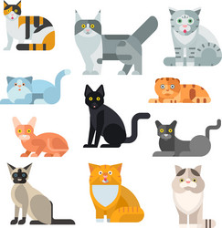 Cute colorful cats set Royalty Free Vector Image