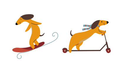 Comic brown dachshund dog engaged in different Vector Image