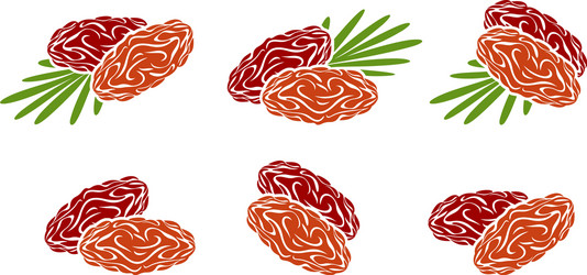 Date fruit Royalty Free Vector Image - VectorStock