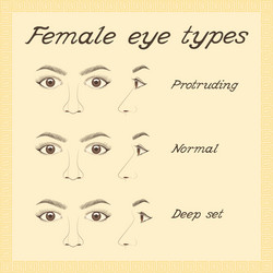 Eye shapes and types various female Royalty Free Vector