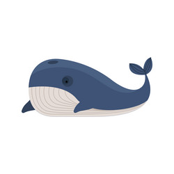 Bowhead Whale Cartoon Vector Images (over 170)