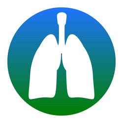 Human organs lungs sign white section of icon Vector Image