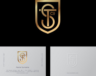 S t c letters monogram gold lines anchor Vector Image