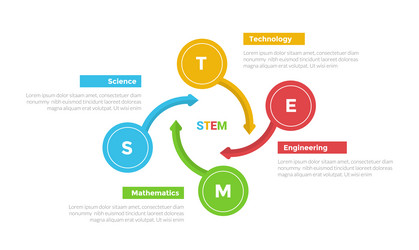 Stem education infographics template diagram Vector Image