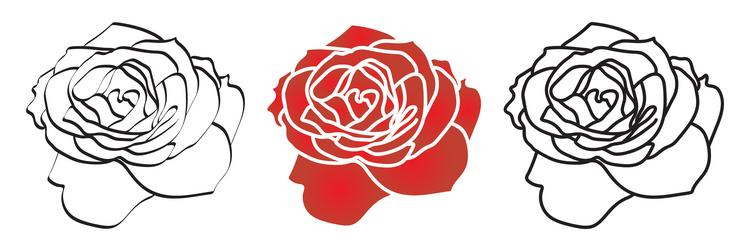 Red rose and outline flower set isolated Vector Image