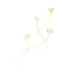 Golden butterflies with dotted line flight route Vector Image
