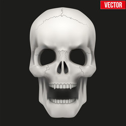 Human skull with open mouth Royalty Free Vector Image