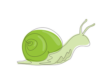 Grove snail isolated on white detailed mollusk Vector Image