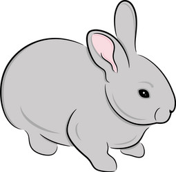 Rabbit cartoon Royalty Free Vector Image - VectorStock