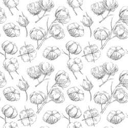 Cotton Royalty Free Vector Image - VectorStock