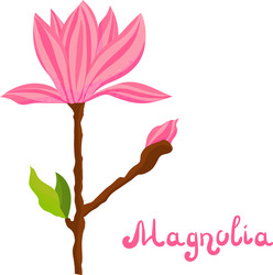Cartoon Magnolia Vector Images (over 240)