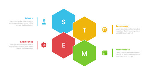 Stem education infographics template diagram Vector Image