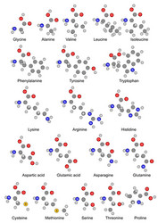 Amino Vector Images (over 3,400)