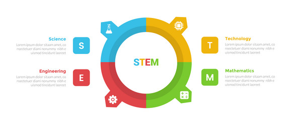Stem education infographics template diagram Vector Image