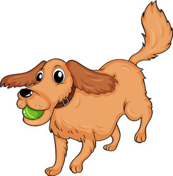 Dog Playing Vector Images (over 17,000)